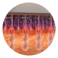 IGNITE RF - Evolução a cada modalidade